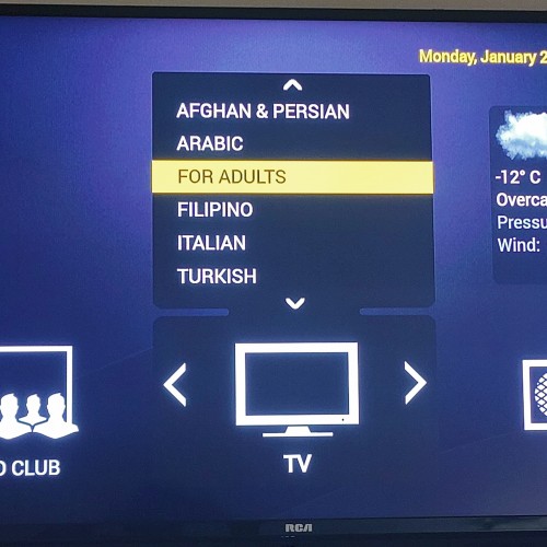 BEST IPTV IN CANADA | 4K CHANNELS| FAST SERVICE | HD QUALITY | MULTI ...